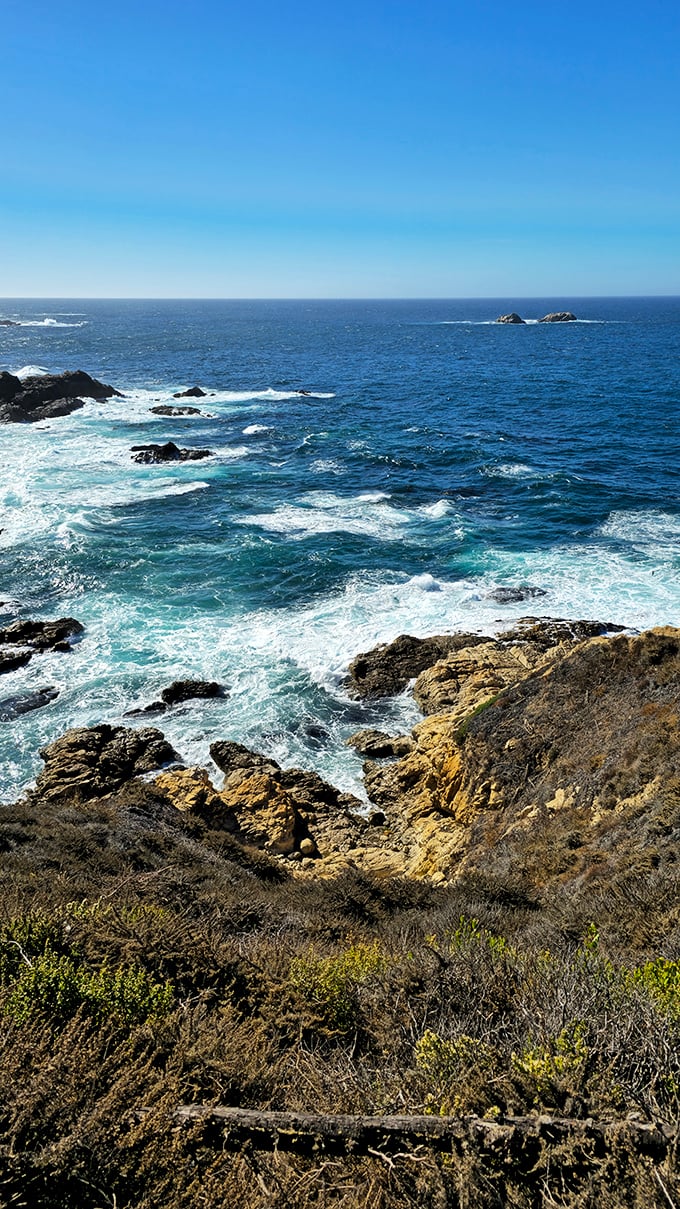 The Pacific shows off its many moods at Garrapata. Those impossibly blue waters might look inviting, but they're serving drama, not swimming opportunities.