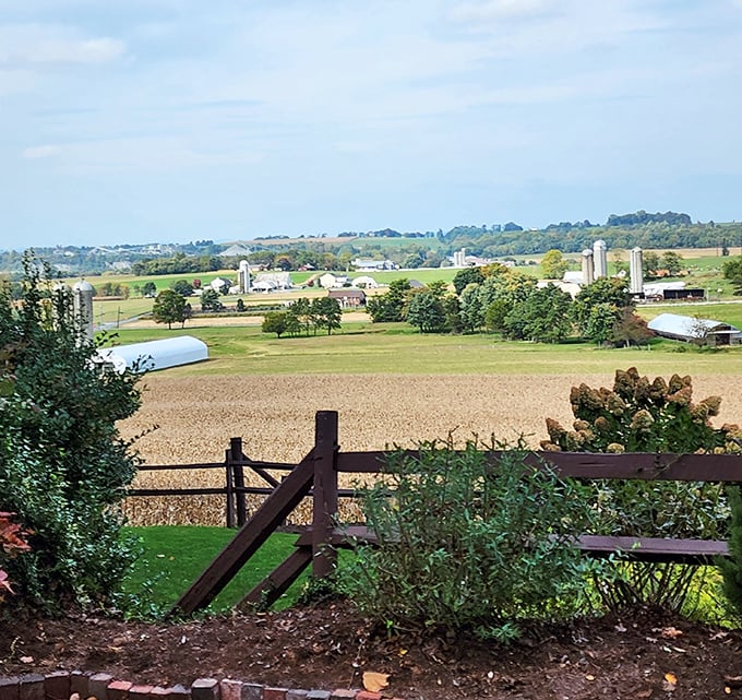 The patchwork quilt of Lancaster County unfolds before you – silos standing like sentinels over fields that have fed generations.