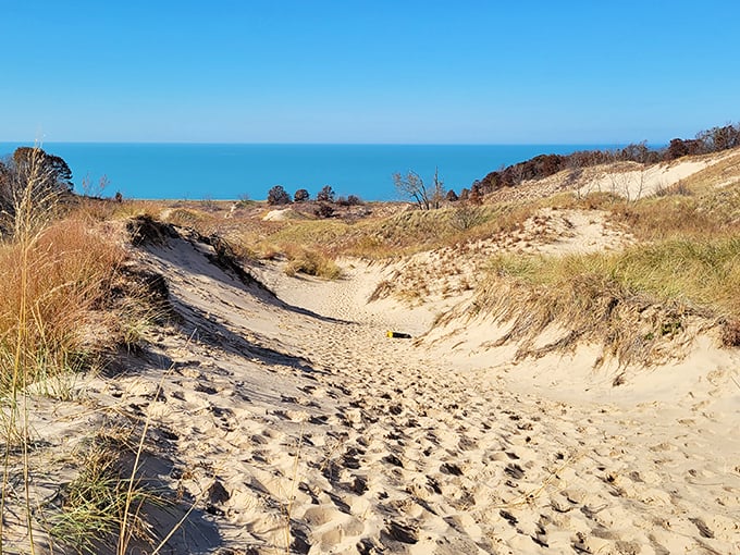 Nature's own sandy highway. This windswept trail through the dunes beckons explorers with the promise of Lake Michigan's blue waters ahead.