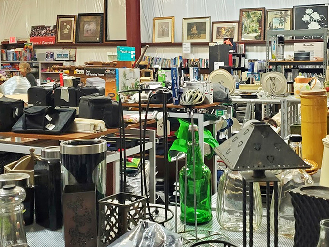 Organized chaos at its finest! This isn't your grandmother's cluttered attic—it's a carefully curated collection where one person's castoffs become another's conversation pieces.