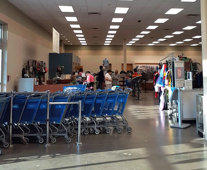 The blue cart brigade stands at attention, ready for bargain-seeking adventurers to embark on their thrifting safari.