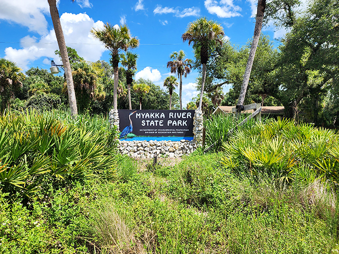 The unassuming entrance sign – Florida's version of "nothing to see here, folks" – belies the 37,000 acres of natural wonder waiting just beyond.
