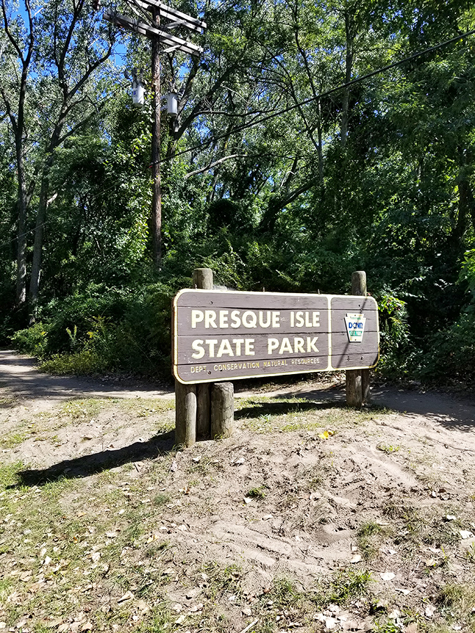 The welcoming sign to paradise stands sentinel among towering trees, promising adventure just beyond the wooded threshold.