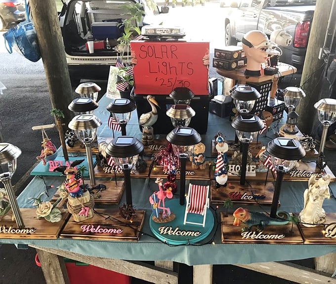 Solar lights that scream "Florida patio party!" Each one a tiny beacon of coastal charm ready to illuminate your evening gatherings.