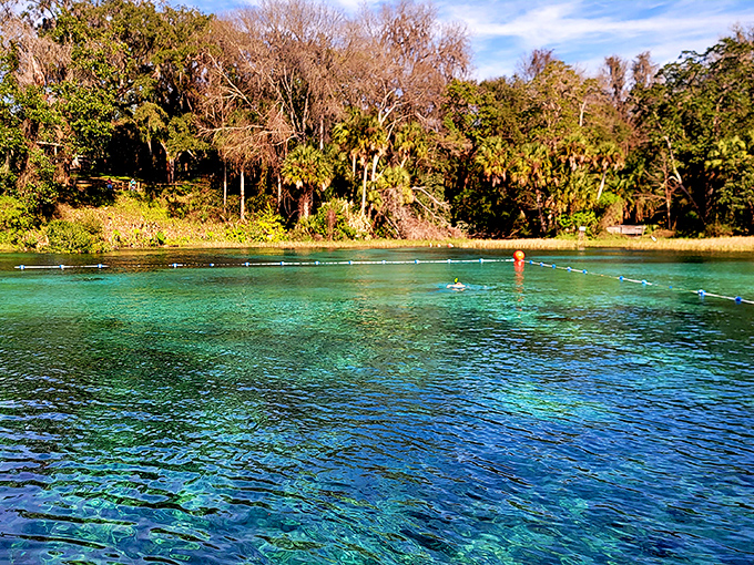 The spring's crystal clarity reveals an underwater world that makes you wonder if you've accidentally stumbled onto the set of "The Little Mermaid."