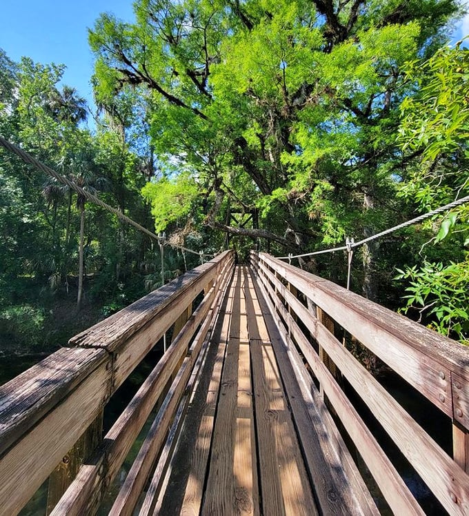This suspension bridge isn't just a crossing—it's a portal to adventure, swaying ever so slightly as you venture deeper into Florida's wild heart.