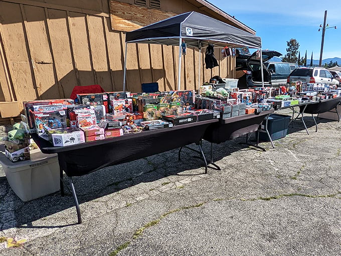 Childhood nostalgia arranged in neat rows—where yesterday's playthings become tomorrow's collectibles. One person's forgotten toy becomes another's cherished memory.