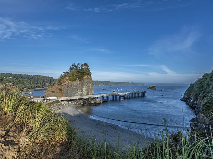Where forest meets ocean in perfect harmony. Trinidad State Beach's pier stretches toward Trinidad Head like an invitation to adventure.