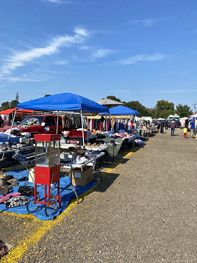 Blue skies and better deals – shoppers navigate the colorful maze of vendor stalls where every aisle promises new discoveries.