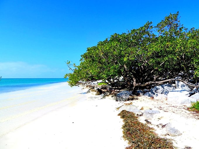 White sand meets turquoise waters under an impossibly blue sky. This isn't a Caribbean postcard—it's just another Tuesday in Islamorada.