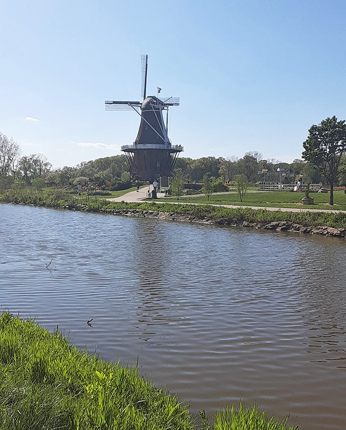 De Zwaan windmill isn't just for show—this authentic Dutch marvel still grinds grain the old-fashioned way, no electricity bill required. 