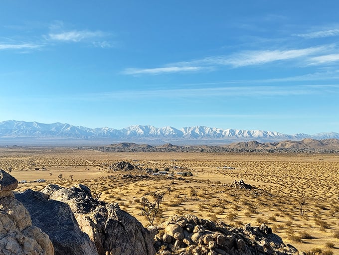 The desert's vastness hits differently from up here—mountains in the distance, golden plains below, and not a single email notification in sight.