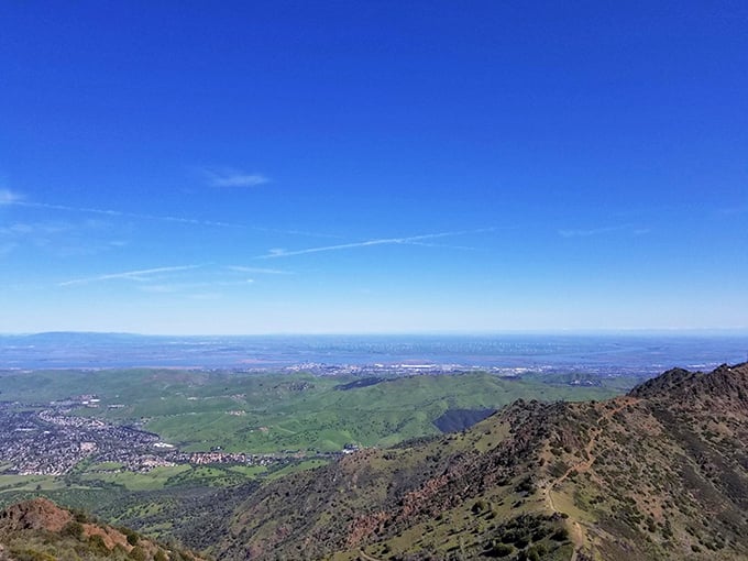 On clear days, this panorama showcases nearly 40 California counties. That's not hyperbole—that's geography showing off at its finest.