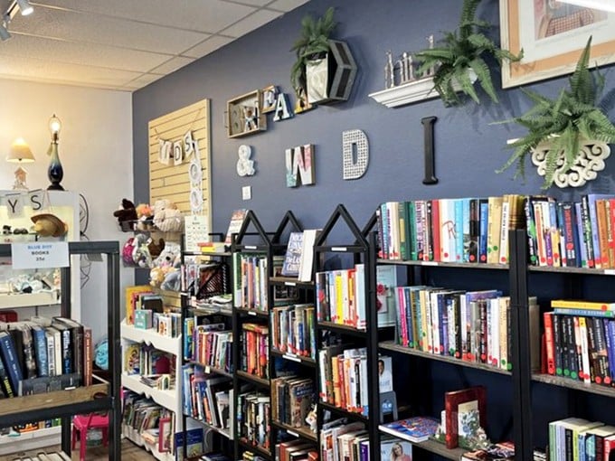 Literary paradise awaits! Shelves packed with affordable reads against a stylish blue wall—where bibliophiles can score their next adventure without breaking the bank.