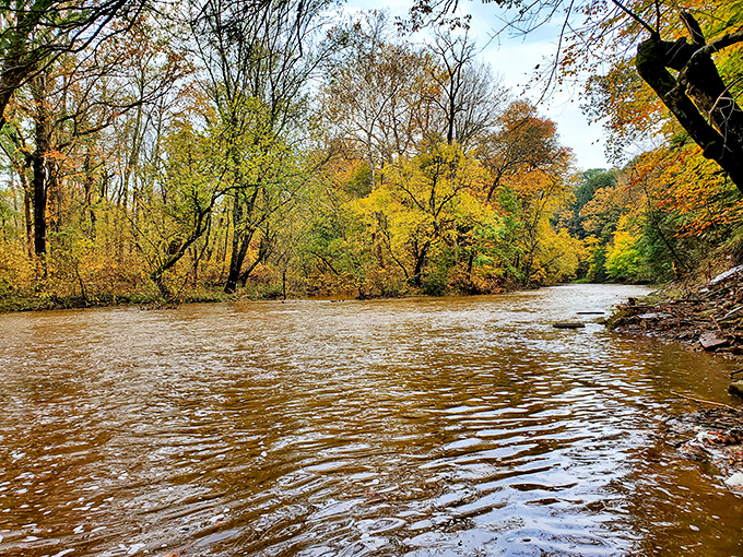 Skippack Creek flows like liquid poetry, creating the perfect soundtrack for your outdoor adventures.