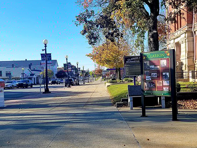 Autumn paints Clarion's downtown sidewalks with golden light, where community bulletin boards still matter more than social media updates.