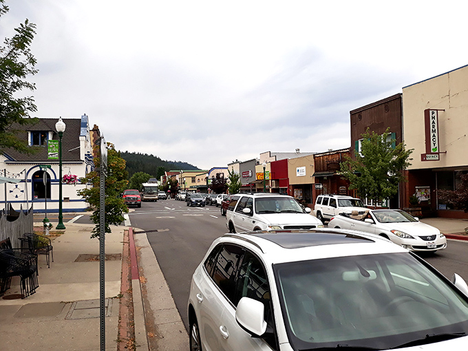 Main Street Quincy—where "rush hour" means three cars waiting at the stoplight and everyone still has time to wave hello.