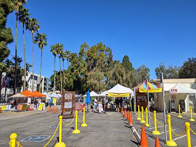 The entrance beckons with its yellow stanchions and palm trees standing guard – nature's own velvet rope for this exclusive Sunday club of bargain seekers.