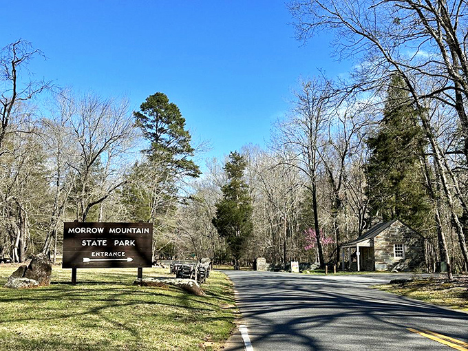 First impressions matter, and Morrow Mountain nails it. The classic park entrance sign welcomes visitors to a wilderness experience just a short drive from urban life.