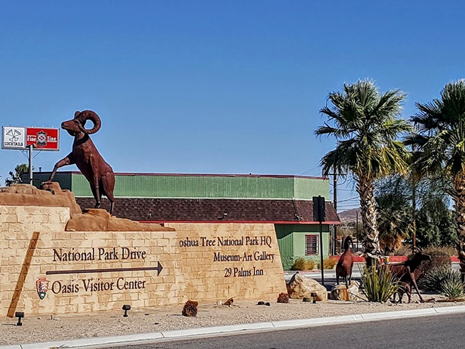 The Oasis Visitor Center entrance beckons with bighorn sheep sculptures that have starred in more selfies than actual wildlife.
