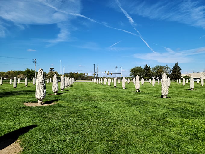 Rows upon rows of meticulously arranged concrete corn create an agricultural Stonehenge that stops traffic and starts conversations.