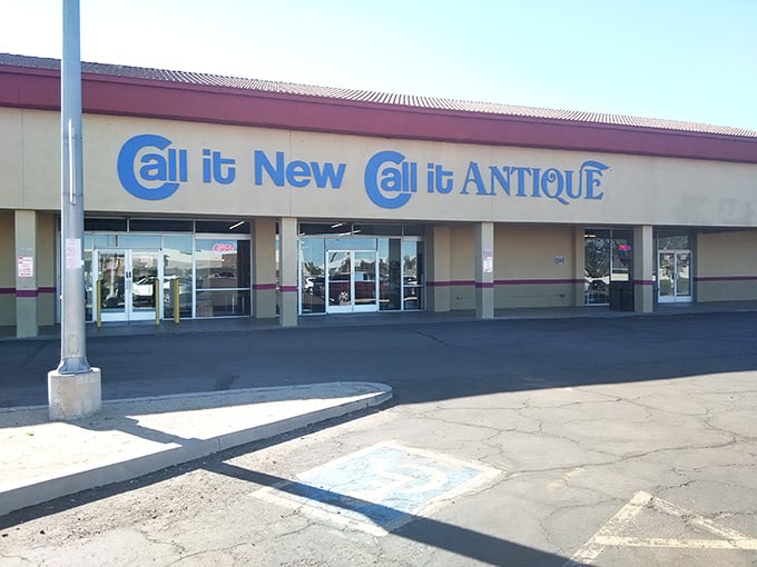 The unassuming storefront hides a wonderland inside – like finding Narnia behind a strip mall facade.