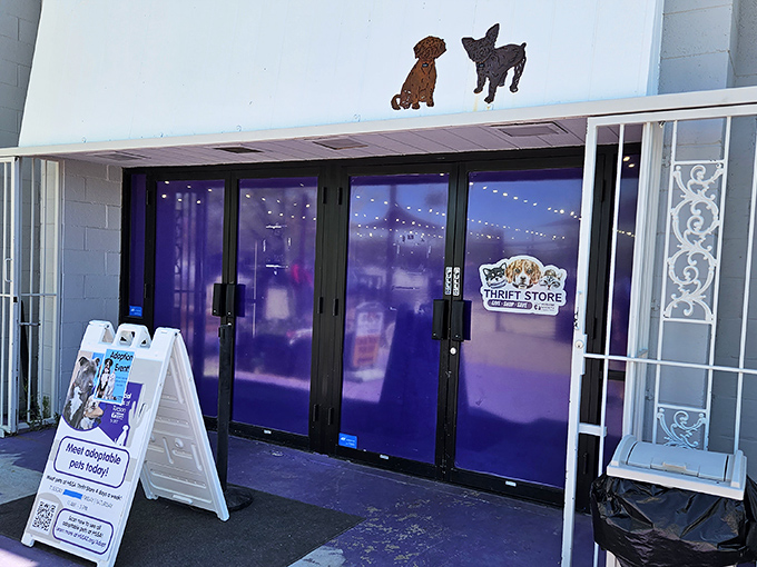 Those purple-tinted doors aren't just an entrance – they're a portal to a bargain hunter's paradise where pets win too.