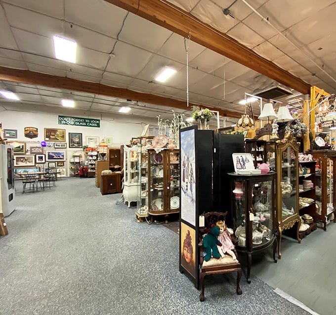 Step inside and prepare for sensory overload. Glass display cases and wooden cabinets create a labyrinth of nostalgia waiting to be explored.