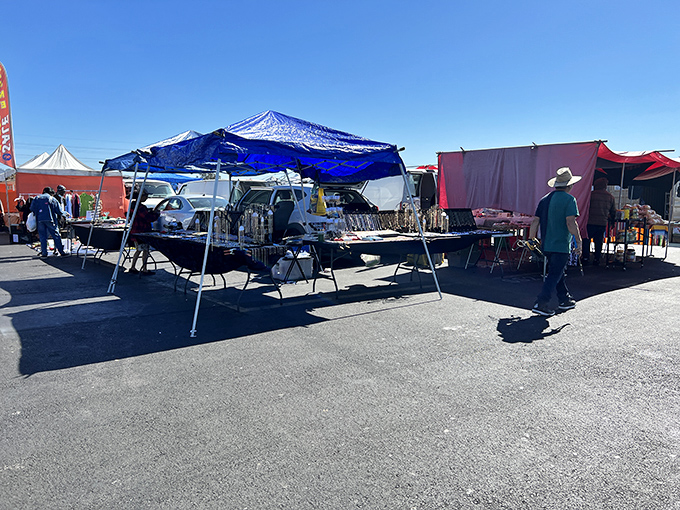 Blue tarps and makeshift displays create the classic flea market aesthetic. Treasure hunting isn't glamorous, but that's precisely where the magic happens.