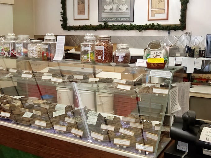 Glass jars of possibility line the shelves, each one a time machine to childhood memories.
