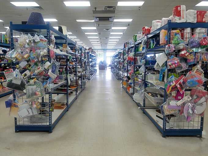 Aisles that stretch toward infinity, each shelf a potential goldmine. This isn't shopping—it's a full-contact treasure hunt with fluorescent lighting.