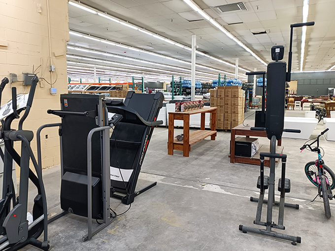 Exercise equipment waiting for its second act. That treadmill could be the start of someone's fitness journey or just an expensive clothes hanger—we've all been there!