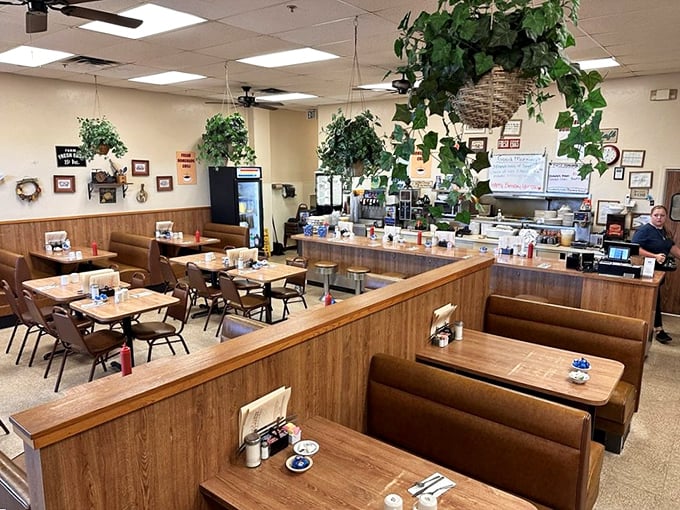 Classic diner aesthetics meet genuine comfort. Those hanging plants aren't just for show—they're witnesses to decades of perfect breakfast conversations and coffee refills.