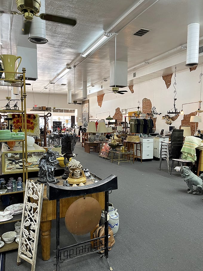 Step inside and the magic begins – exposed brick walls, vintage displays, and that unmistakable scent of history waiting to be discovered.
