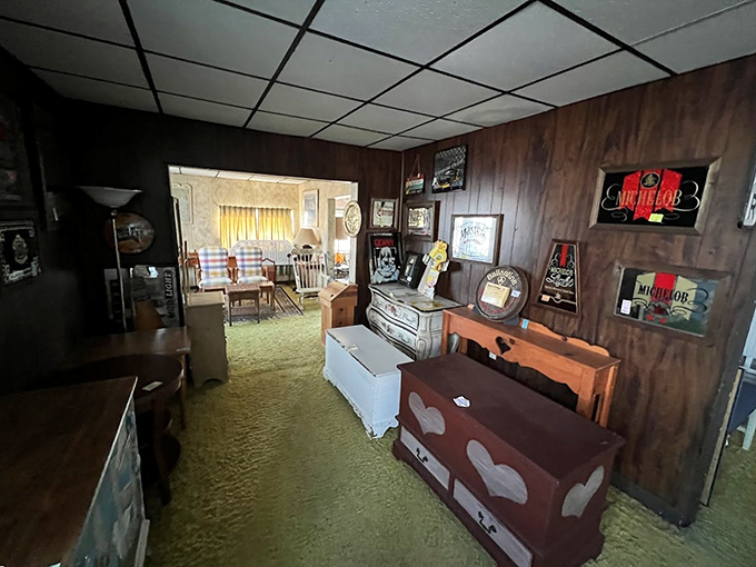 Wood-paneled walls and vintage furniture create the perfect treasure hunt atmosphere. Like walking through your coolest grandparent's attic—if they collected everything awesome.