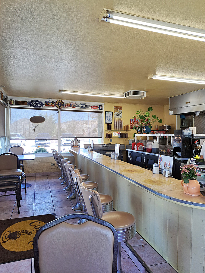 The counter where strangers become friends and calories don't count. Those stools have heard more road trip stories than a truck stop novel.