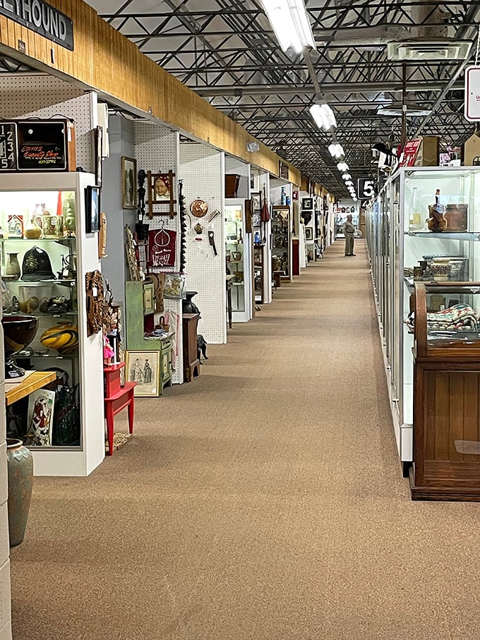These endless aisles hold more stories than your uncle at Thanksgiving dinner – and they're all true.