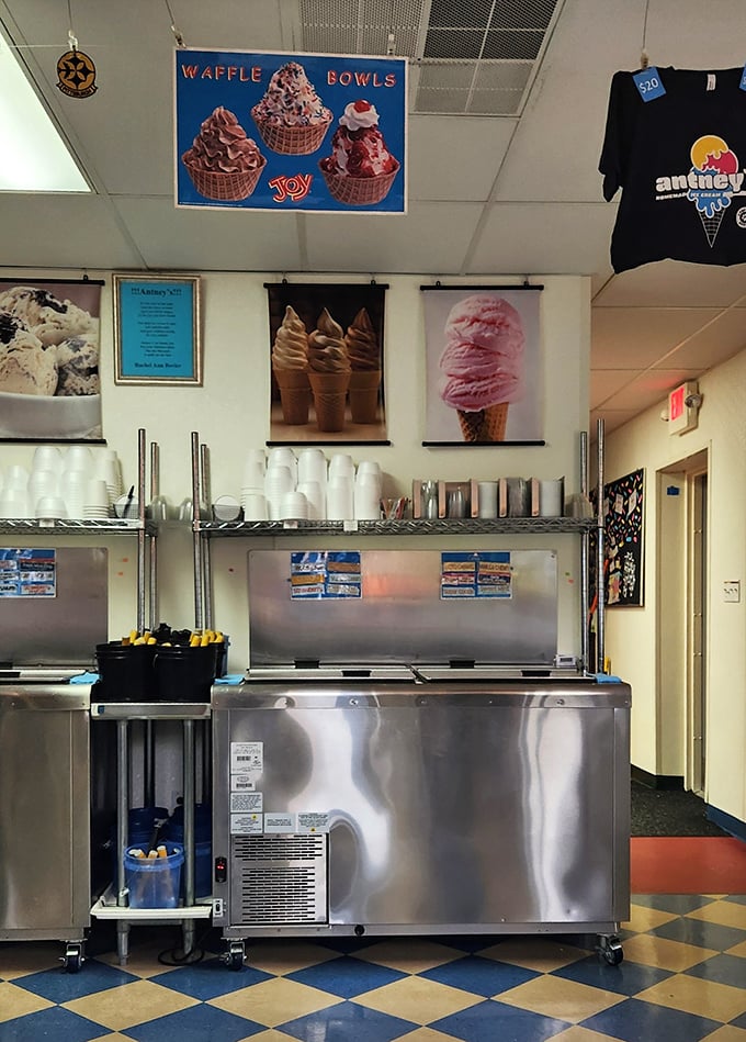 Inside Antney's, vintage ice cream posters and a checkerboard floor create the perfect backdrop for frozen magic to happen.