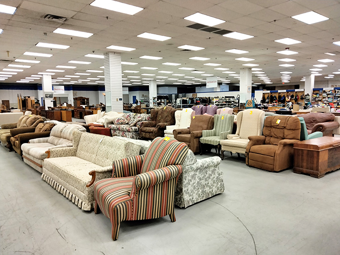 An ocean of sofas stretches to the horizon, each with its own personality and story, waiting for someone to give them a second chance at coziness.