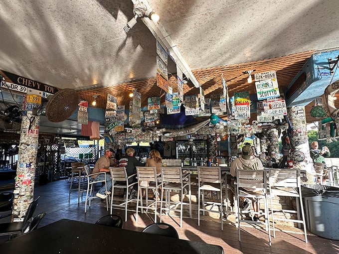 License plates from across America adorn every surface, telling the silent story of road-trippers who found paradise in this open-air Florida gem.