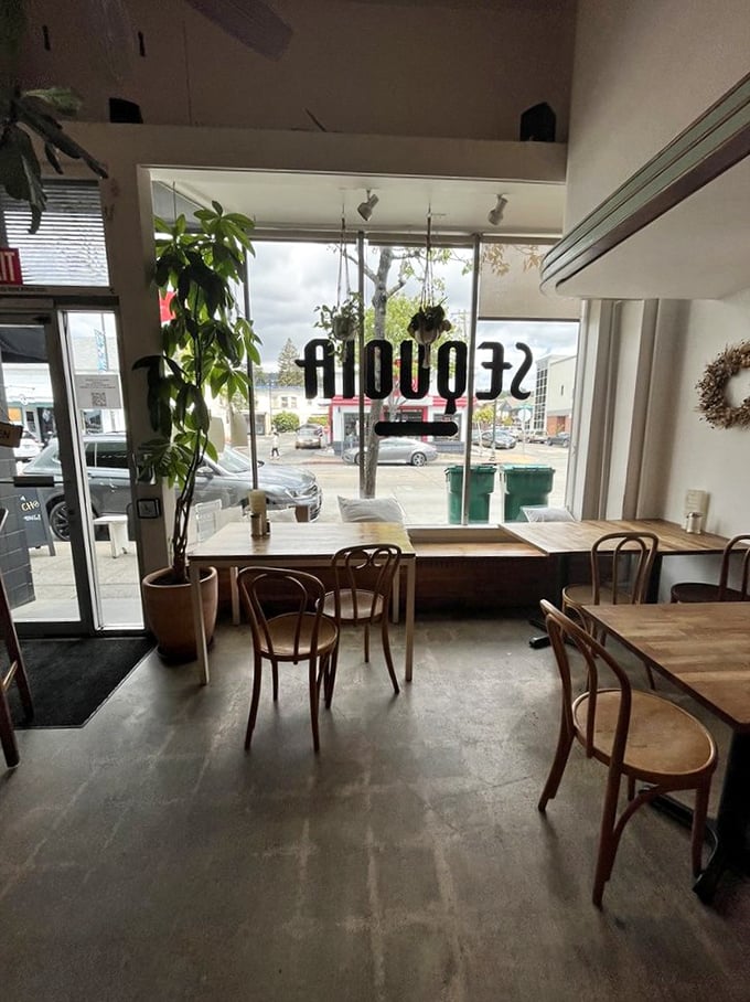 Morning light streams through windows where bentwood chairs invite you to linger over that second coffee, surrounded by thriving plants that seem as happy to be here as the diners.