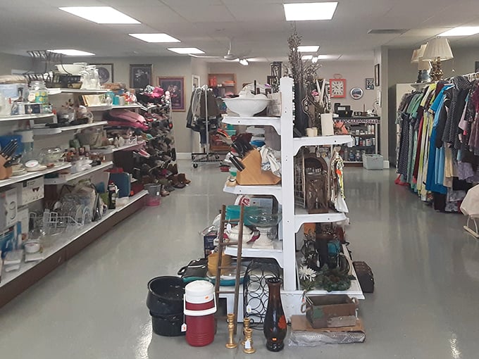 Organized chaos at its finest—where one person's castoffs become another's must-haves in this meticulously arranged wonderland.