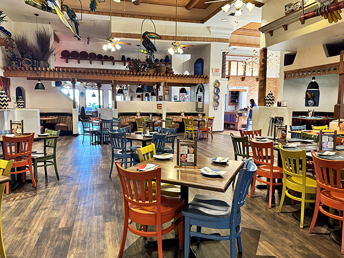 Colorful chairs and warm lighting create the perfect backdrop for serious chimichanga conversations ahead.
