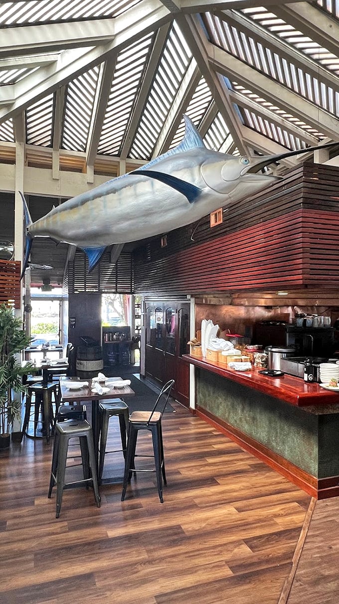 That marlin watching over diners says it all – you're in a place that takes seafood seriously while keeping the atmosphere breezy.