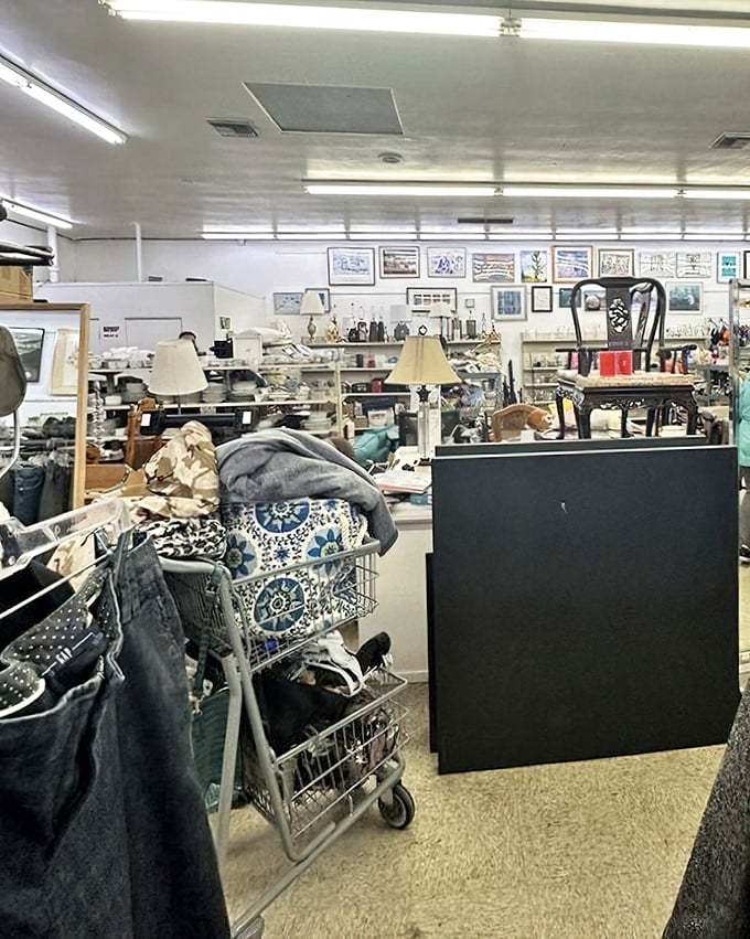 Furniture, lamps, and home goods stretch to the horizon. It's like someone organized a hundred garage sales under one fluorescent-lit roof.