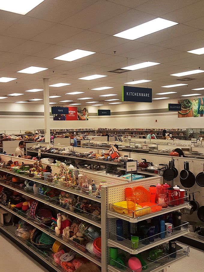 Organized chaos at its finest—where kitchenware meets toys meets collectibles in a symphony of secondhand treasures.