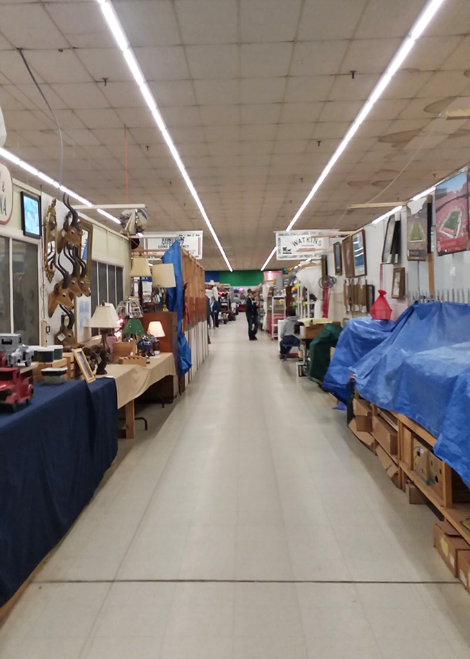 Long fluorescent-lit corridors stretch into the distance, each aisle a potential pathway to your next great find.