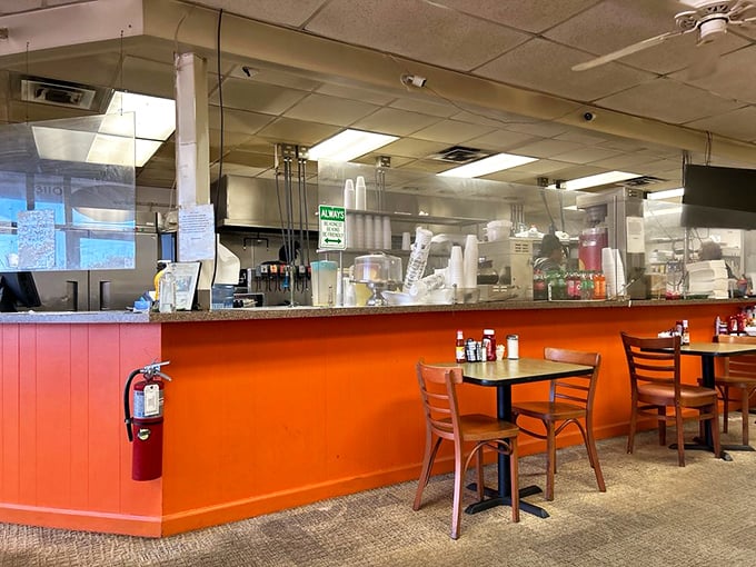 That vibrant orange counter isn't just decor—it's the stage where breakfast dreams come true, with front-row seats to the culinary show.