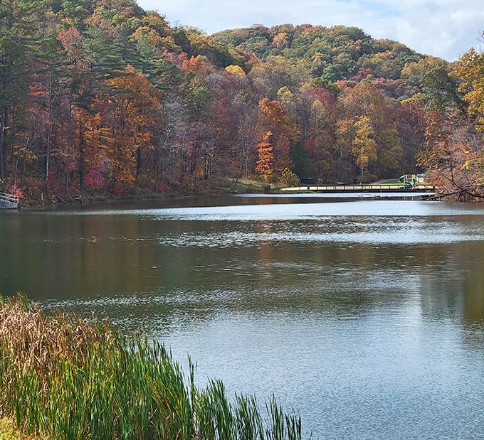 Pine Lake mirrors the autumn hillsides like nature's own Instagram filter. The still waters perfectly capture what serenity looks like in technicolor.