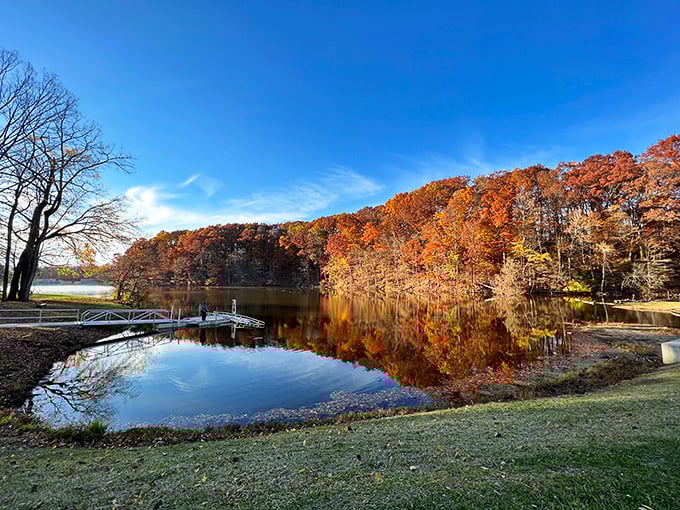 Fall's greatest magic trick: turning an ordinary Ohio lake into a canvas that would make Monet drop his paintbrush in surrender.